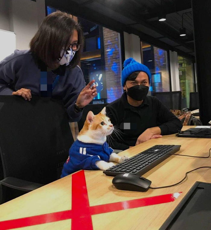 Floofy programmer. - 9GAG