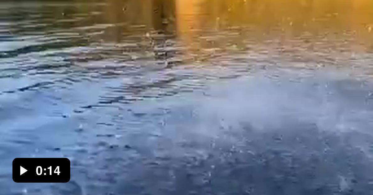 Row row row your boat gently down the stream.... - 9GAG