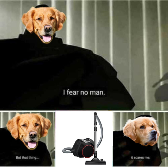 Dogs biggest fear - 9GAG