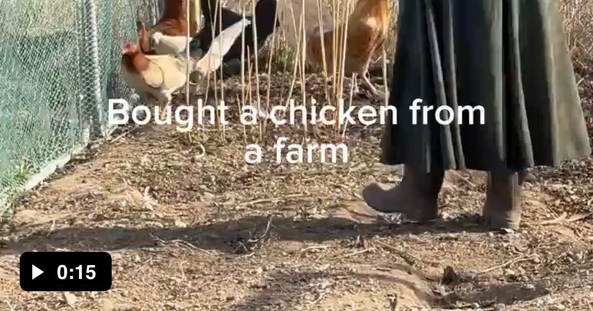 Someone got a chicken just for this shit - 9GAG