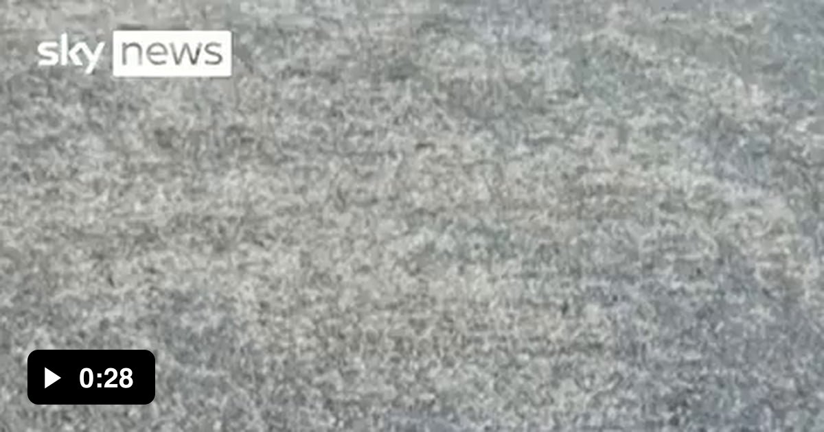 Tonnes of dead fish clogging up a Greek harbour - 9GAG