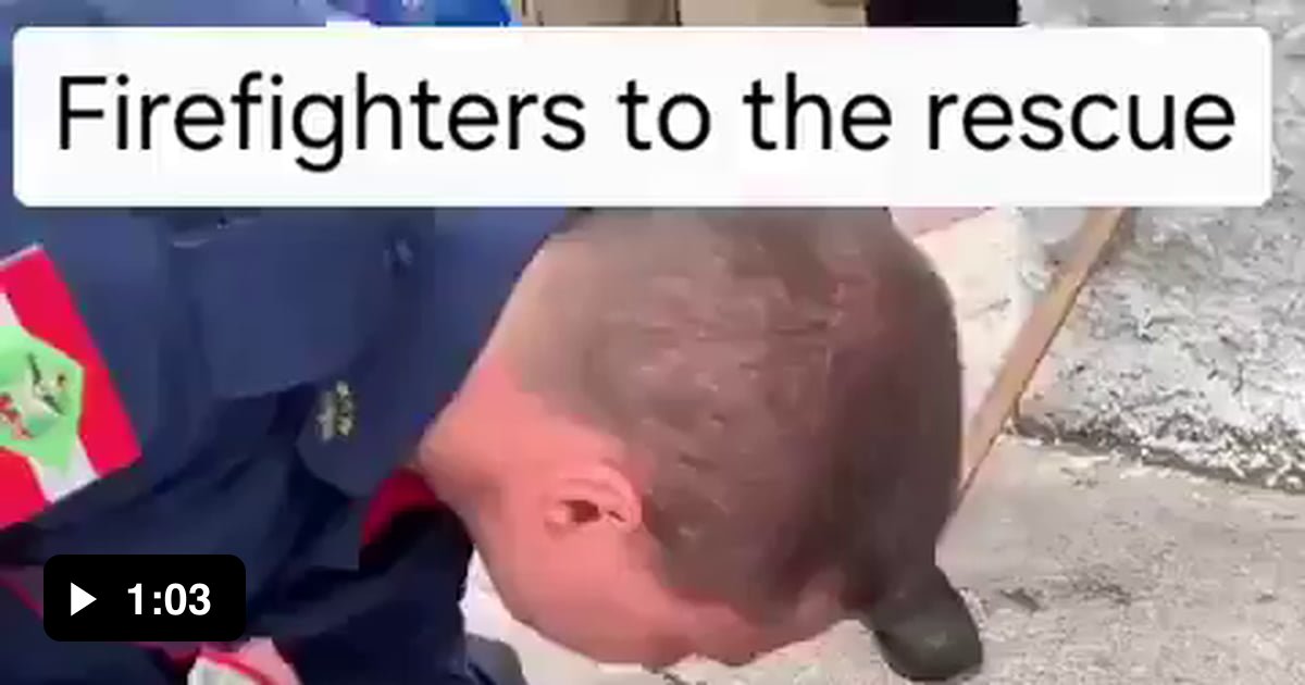 Firefighters find a capybara stuck in the sewers - 9GAG