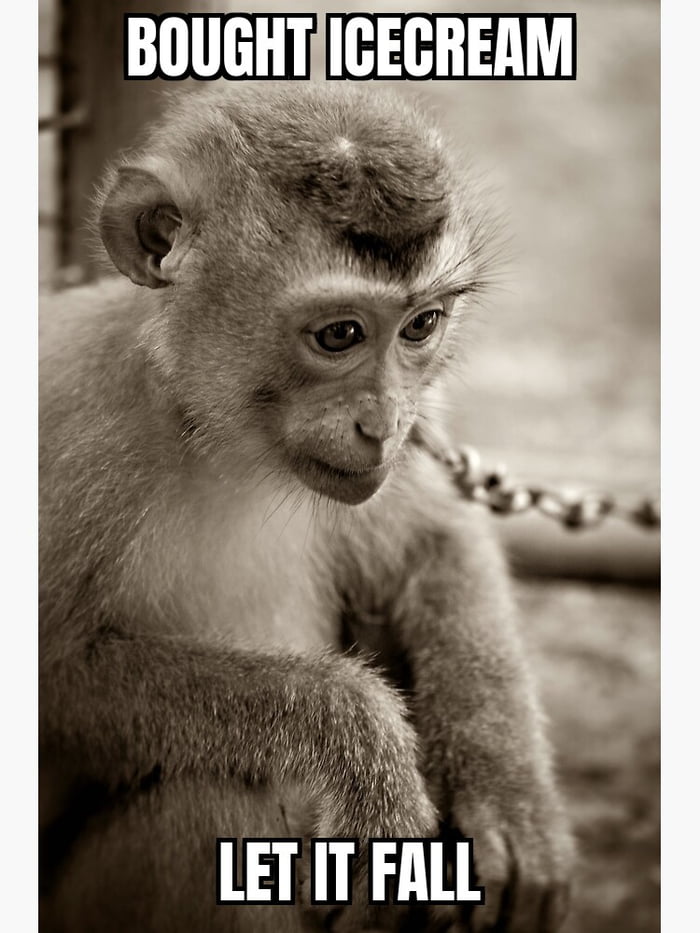 Slightly sad monkey - 9GAG
