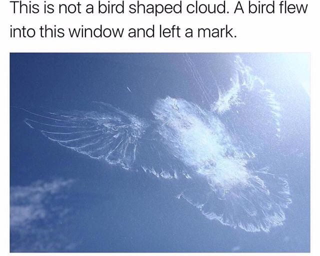 It's a Angle! - 9GAG