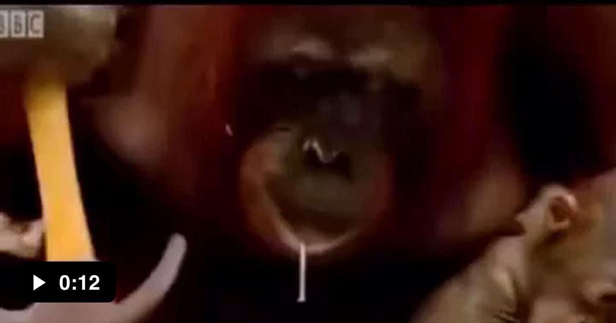 My boss observing me at work and realising that I lied on my resume. - 9GAG