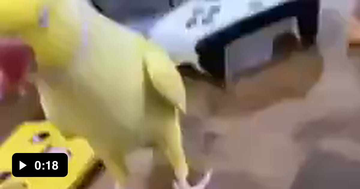 Gentle and extra cute - 9GAG