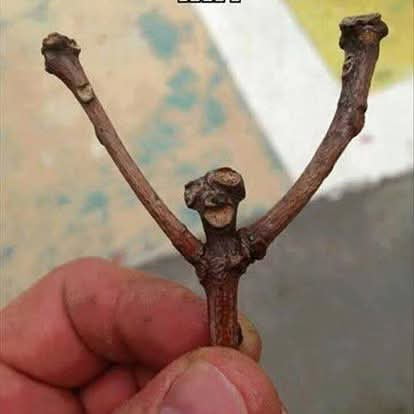 This is a nice stick - 9GAG