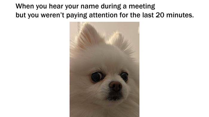 Thats my doggo - 9GAG