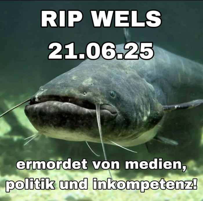 RIP Wels, a future forecast - 9GAG