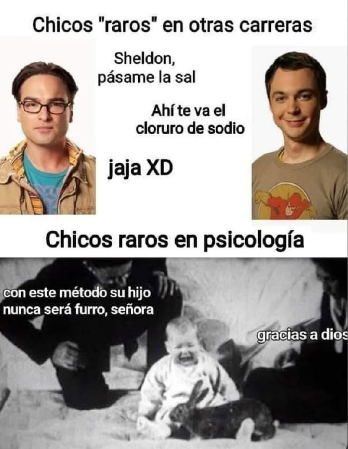 Meme de furros? - 9GAG