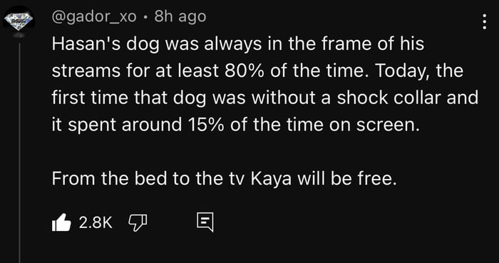 From the bed to the tv, Kaya will be free! - 9GAG