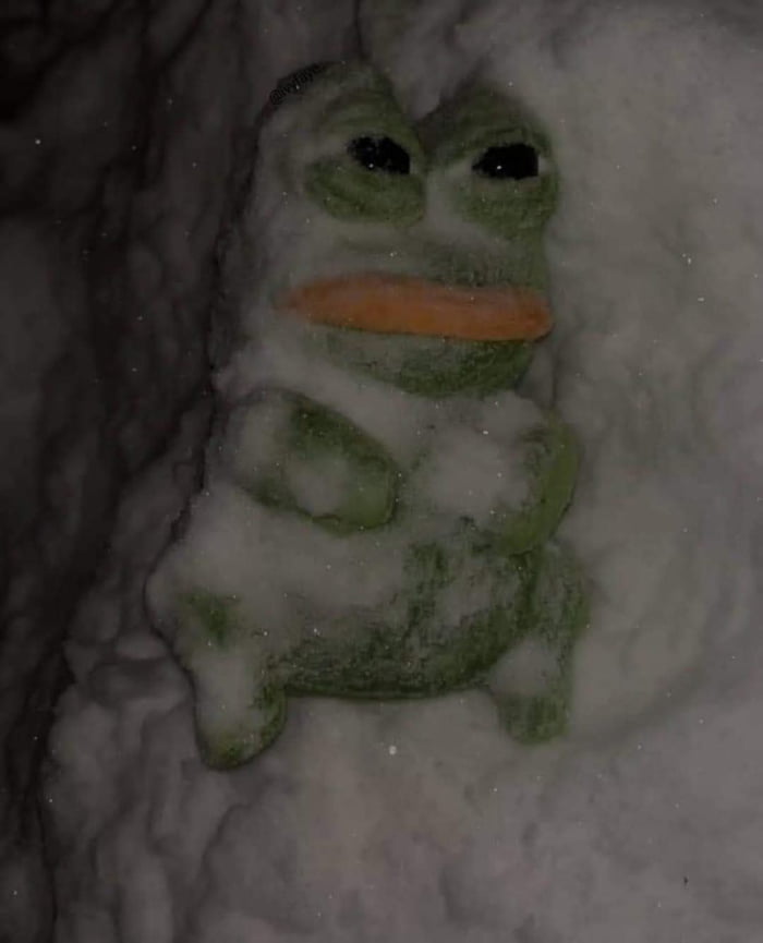 The vegetables in my freezer watching me grab pizza rolls again - 9GAG
