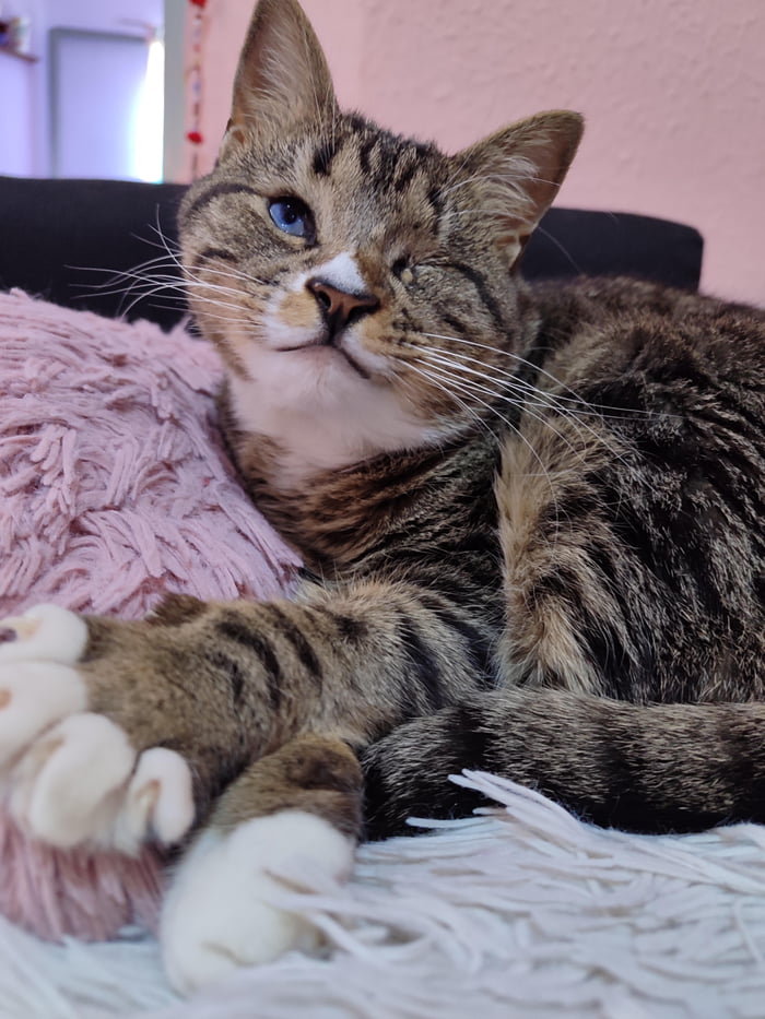 Tita at her nap time 😊💕 - 9GAG