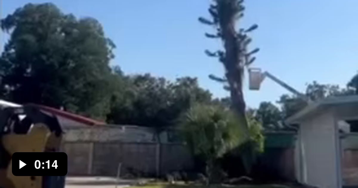 Florida man at it again - 9GAG