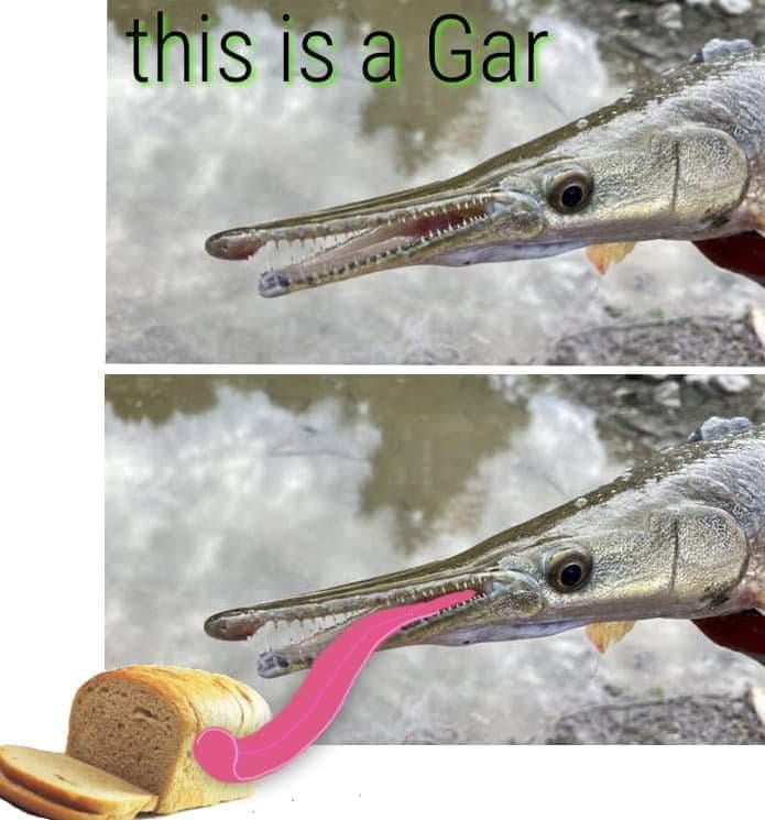 Ah yes quality. - 9GAG