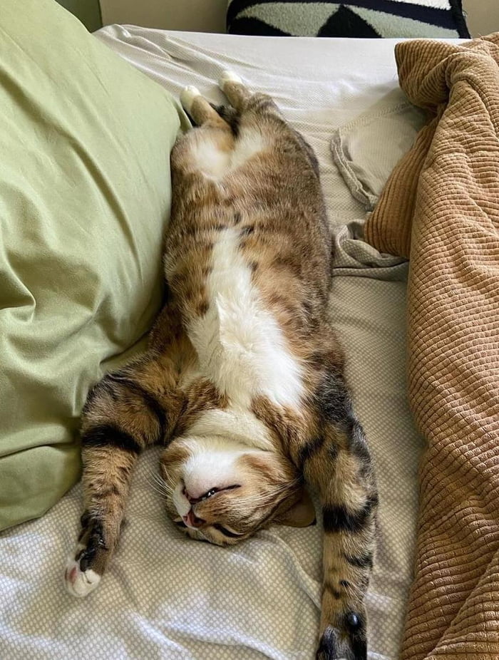 Bro's sleeping like he is the owner of the house😭 - 9GAG