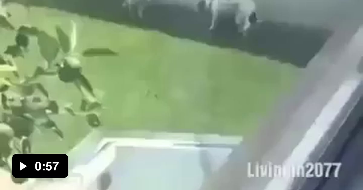 Uno reverse to your uno reverse - 9GAG