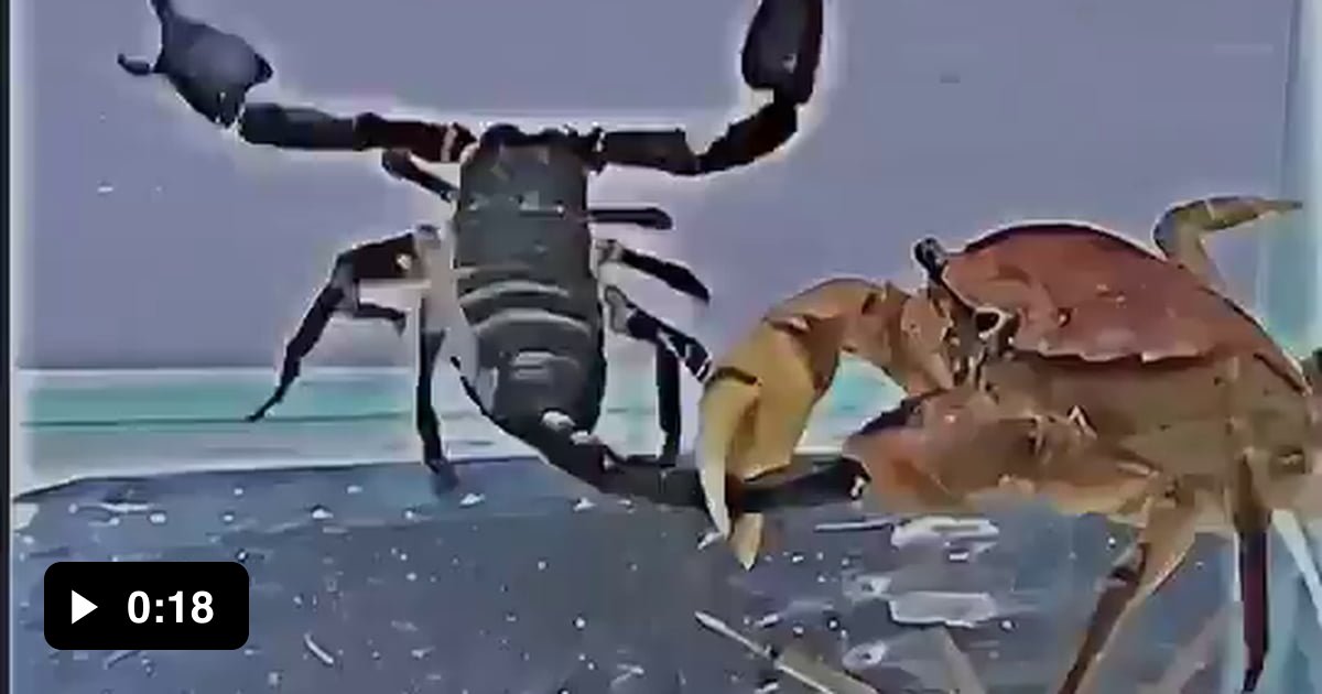 Crabs can do that? - 9GAG