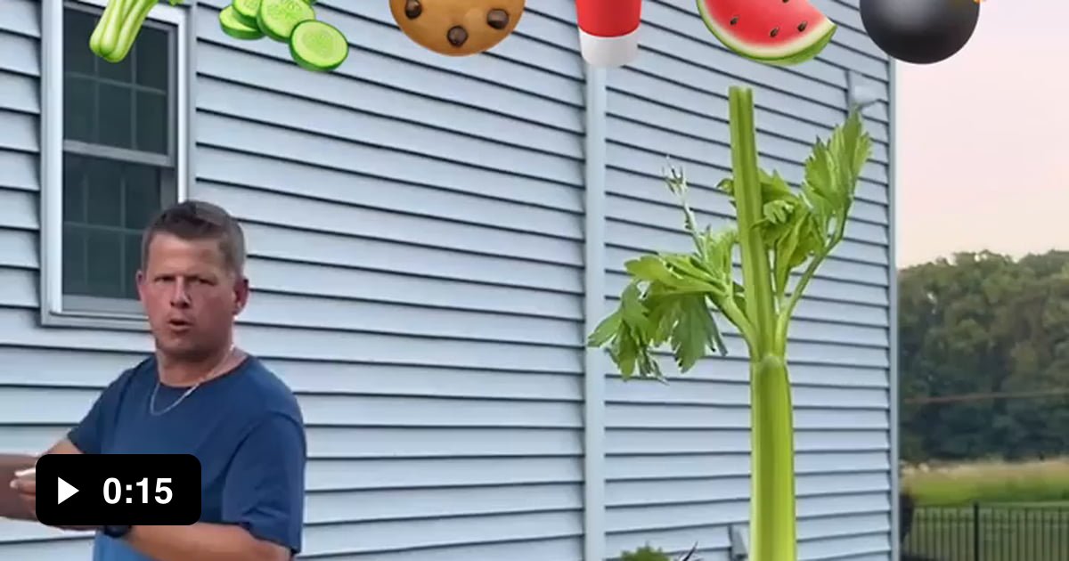 Foodninja Fred; Dealer of Death, Commander of Cards - 9GAG