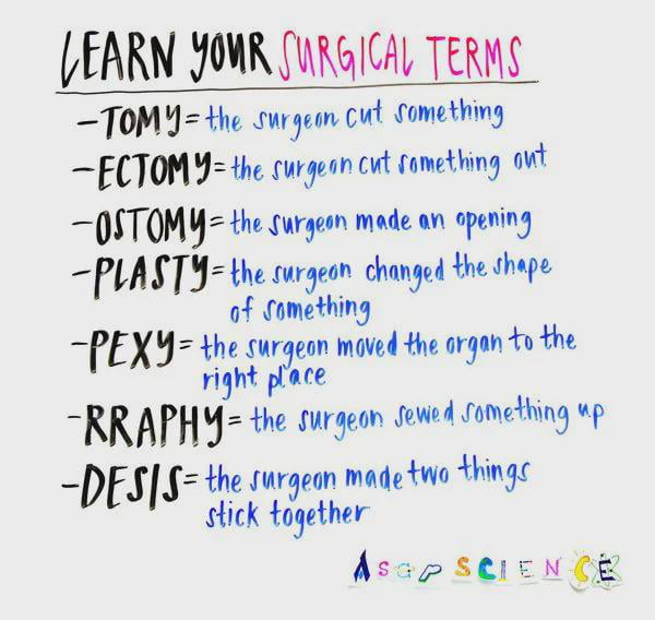 A cool guide that should make studying much easier! - 9GAG