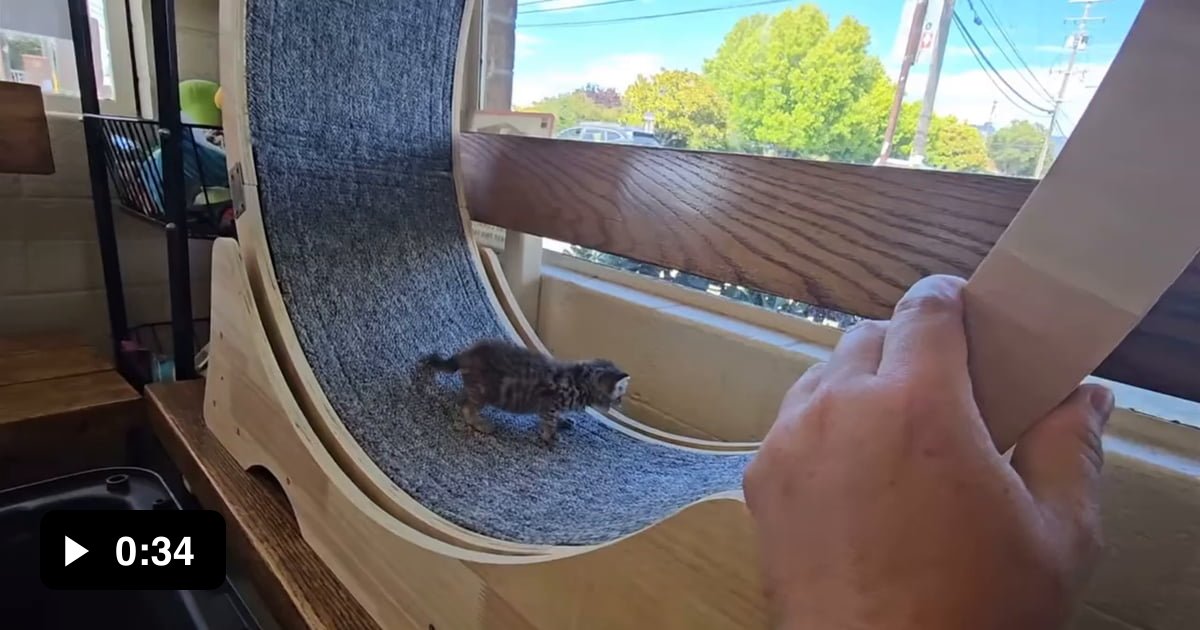 Teddy is ready for Olympic training. - 9GAG