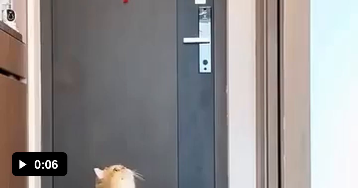 Maybe maybe maybe - 9GAG