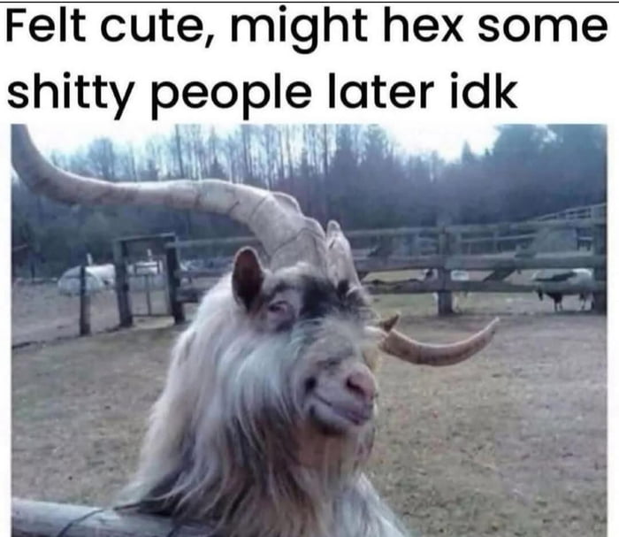 Hail goat - 9GAG