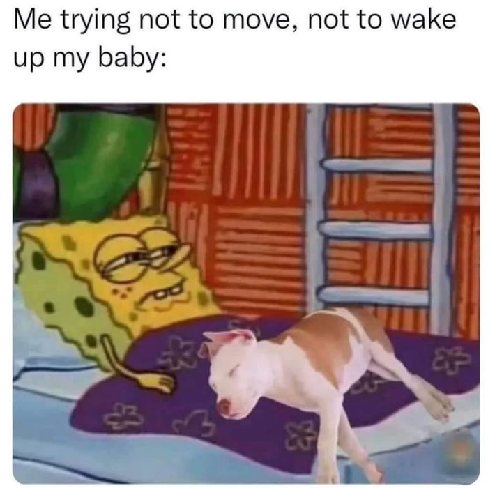 When your nap partner is a light sleeper - 9GAG
