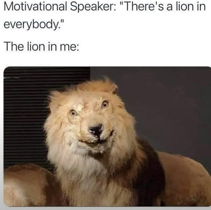 My inner lion is more of a housecat that had a rough night - 9GAG