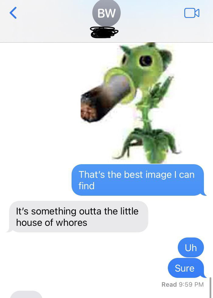 Little house of wh**es - 9GAG