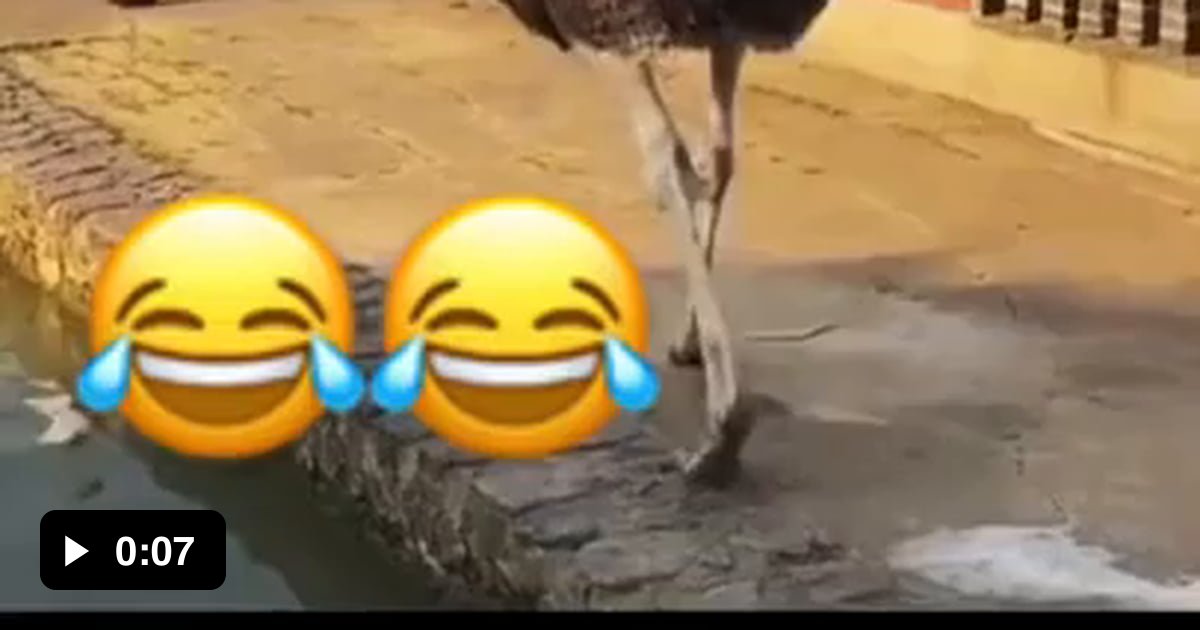 It's okay Buddy.. Next Time... - 9GAG