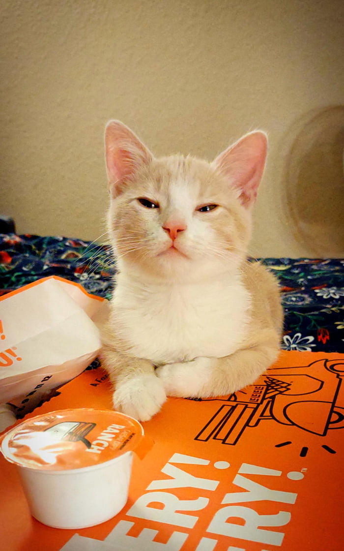 Your Peesha is here... - 9GAG