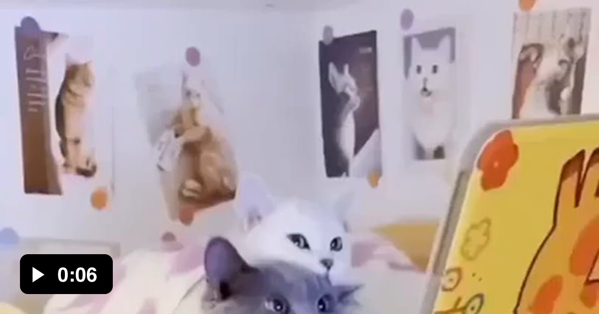 Chill out time - 9GAG