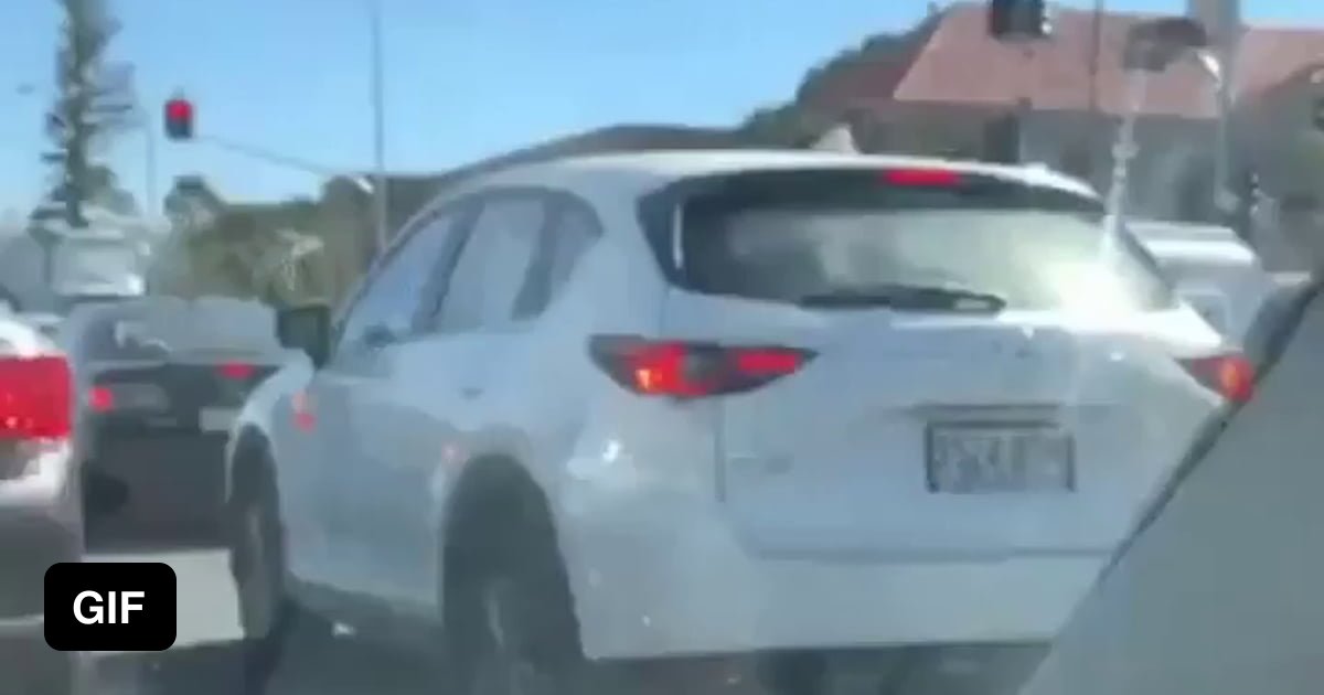 Spider crawls into car - 9GAG