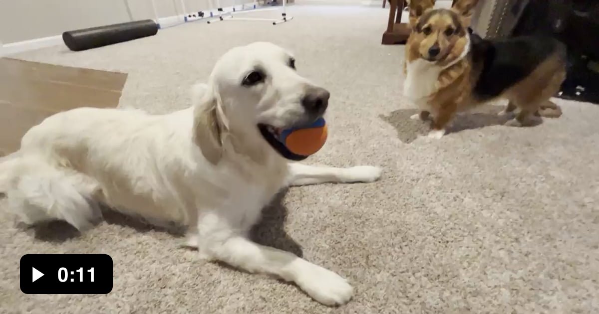 Ru, the queen of no take only throw (yes she knows give just fine) - 9GAG