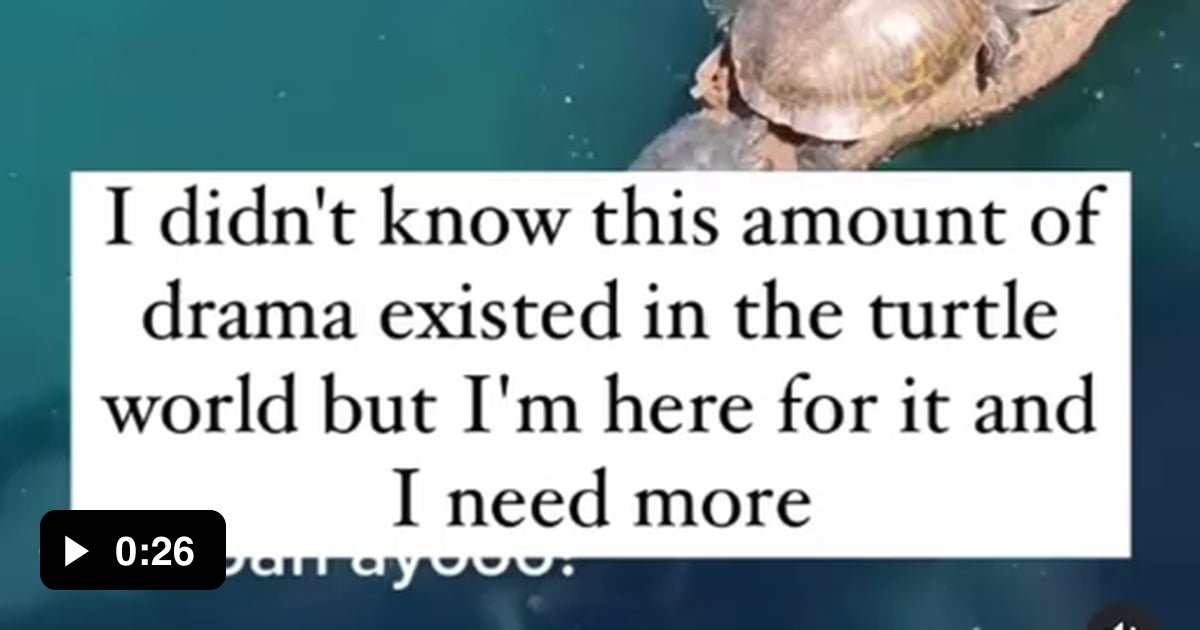 Turtle pushing another turtle off a log - 9GAG