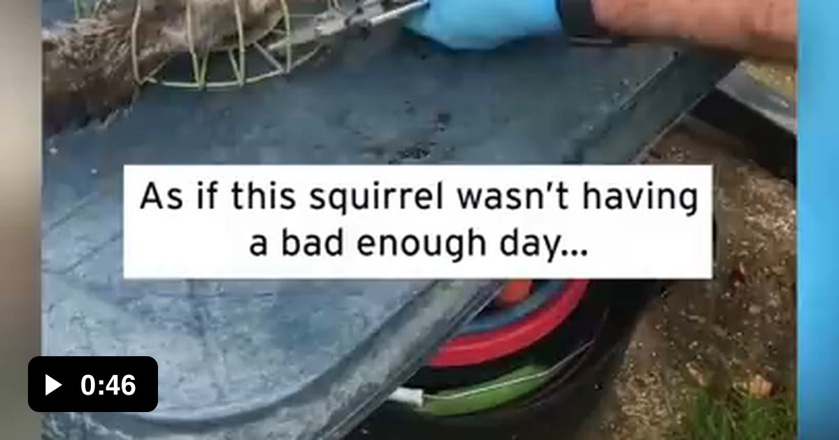 Looks like it's dealing with existential crisis - 9GAG