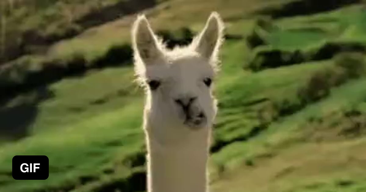 It's chewsday, innit? - 9GAG