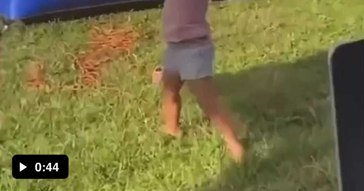 3-year-old has impeccable dancing skills. - 9GAG