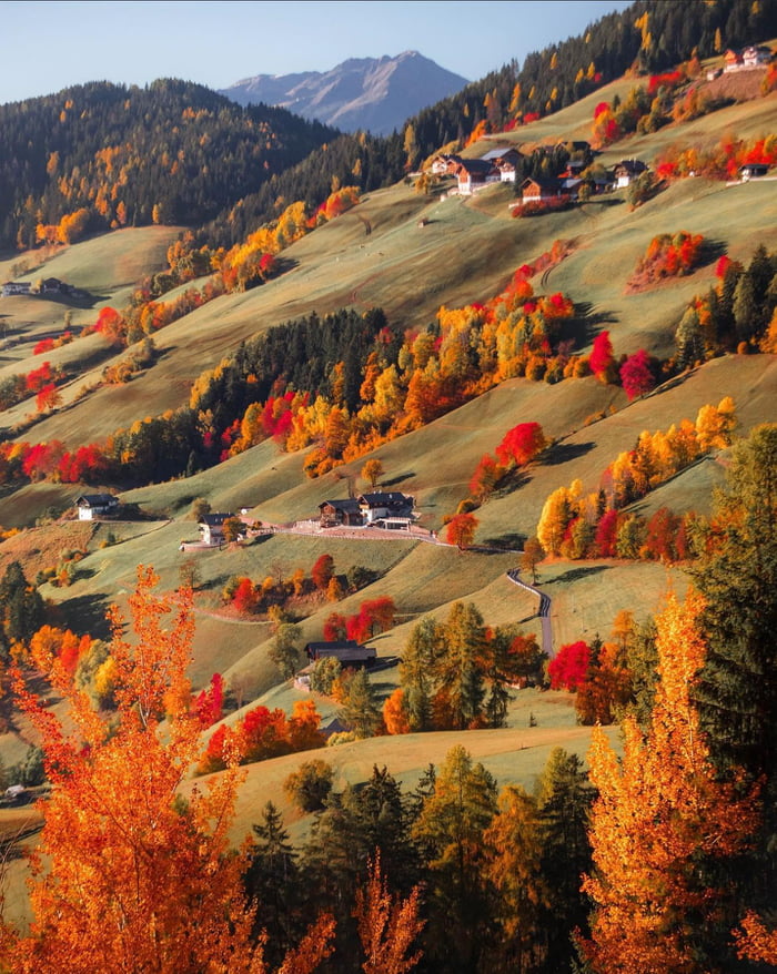 Fall foliage in The Alps, Switzerland - 9GAG