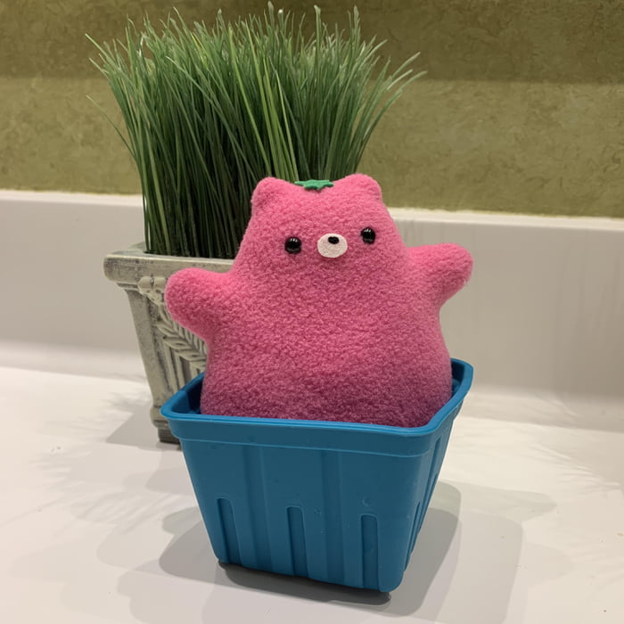 Lil raspberry bear in a raspberry container - 9GAG