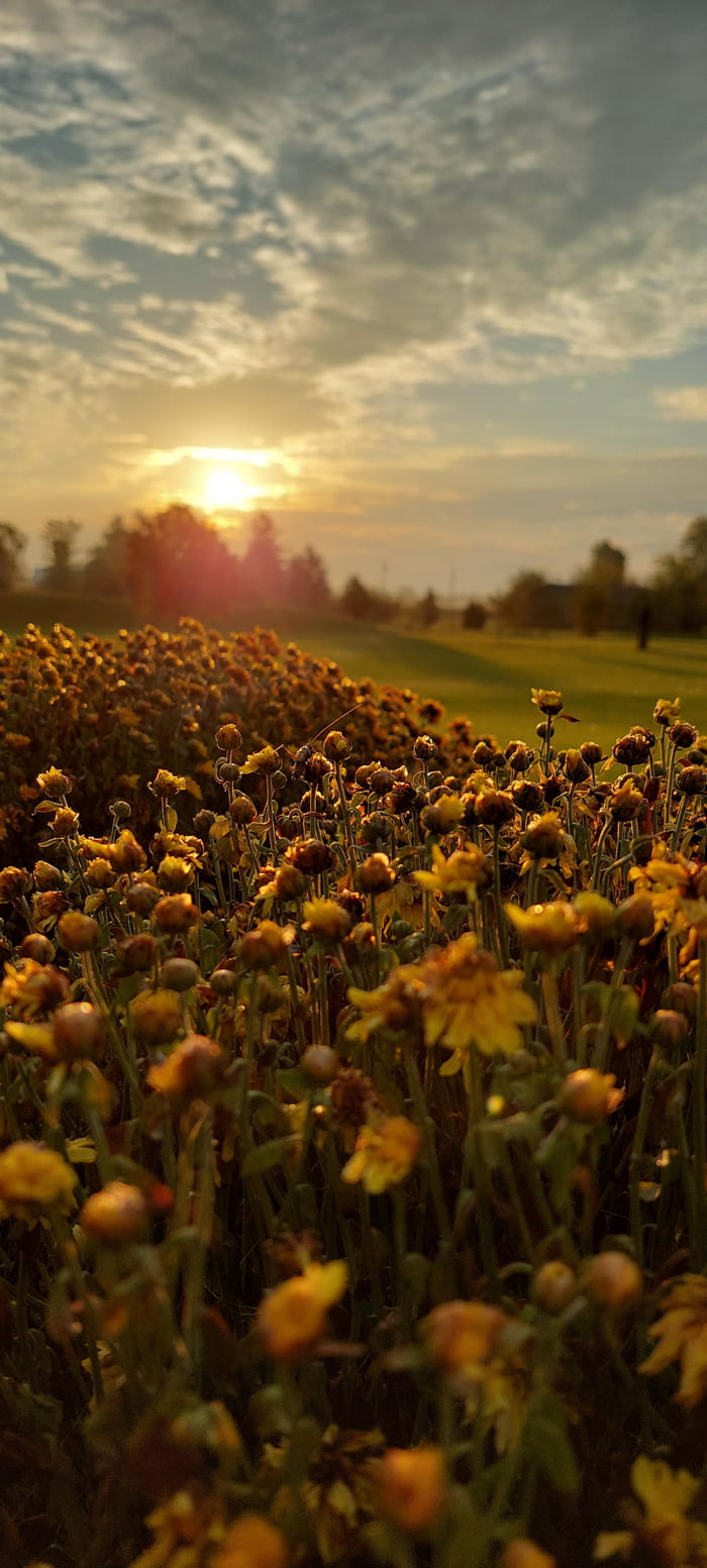 Best picture I've ever taken - 9GAG