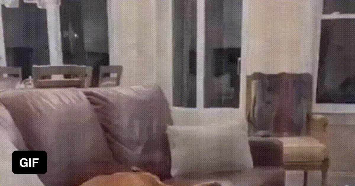 Classic shenanigans. - 9GAG