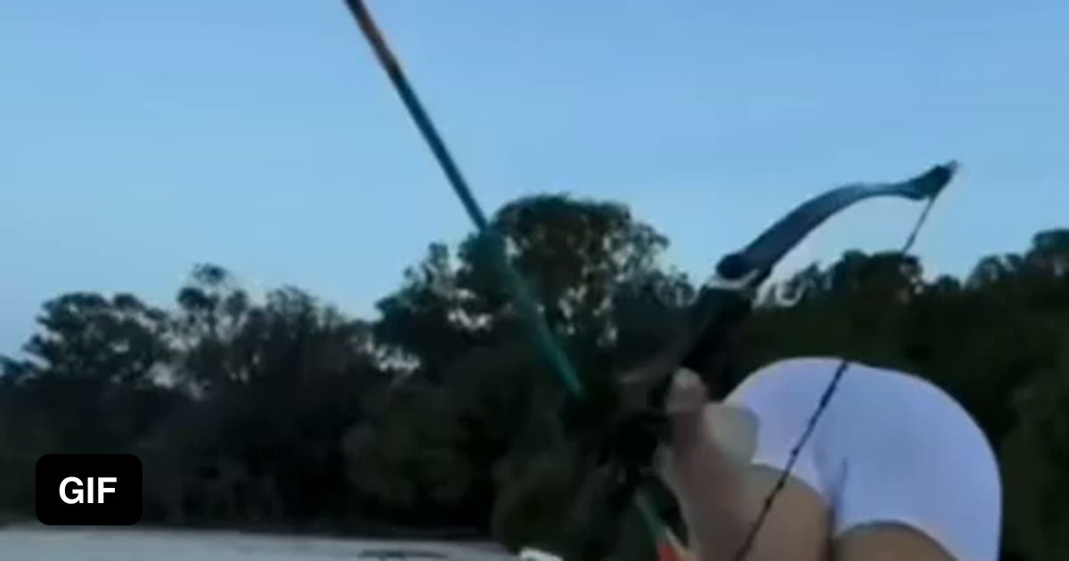 Did you notice the bullseye? - 9GAG