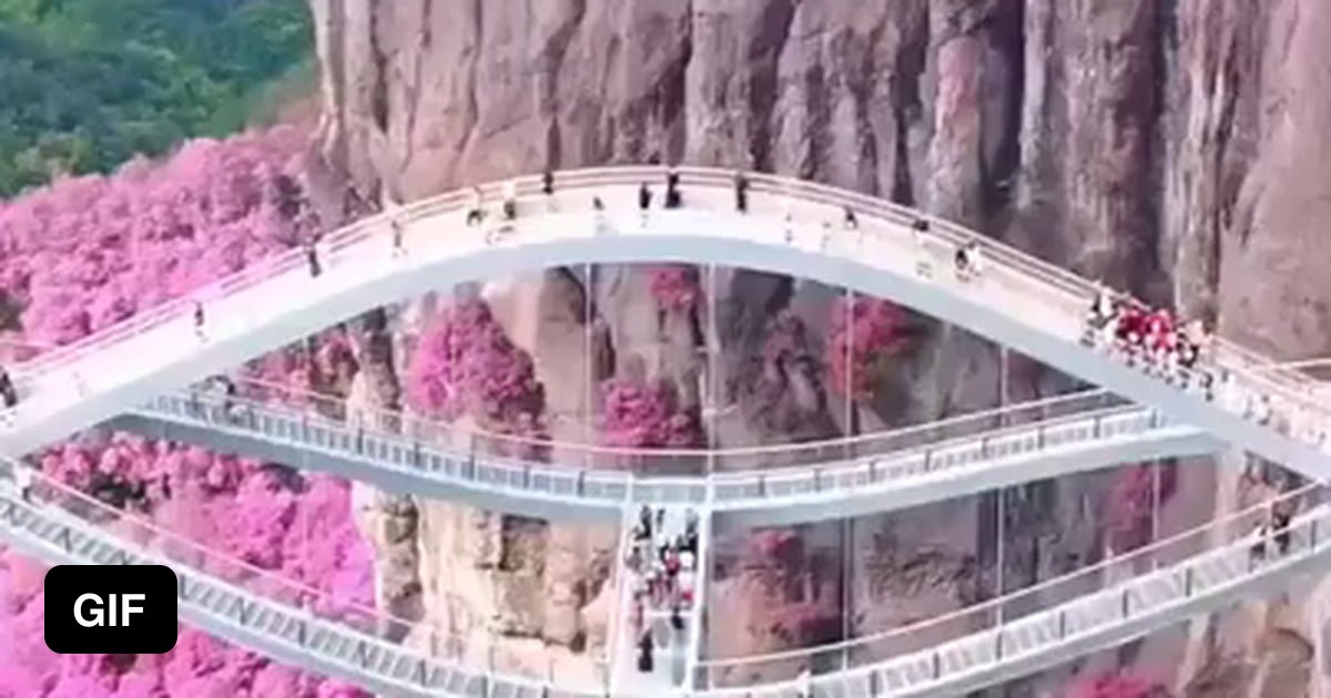 The amazing Ruyi Bridge in Taizhou City, Zhejiang! - 9GAG