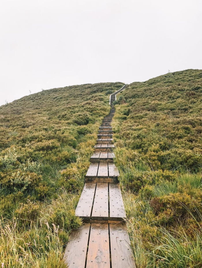 Board walk on the Slieve Bloom mountains, Ireland. - 9GAG