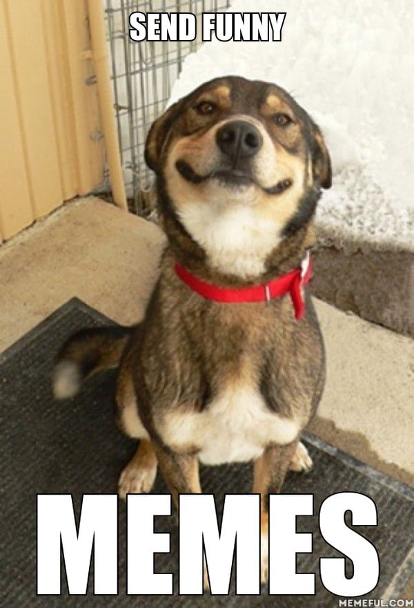 Send funny. memes - 9GAG