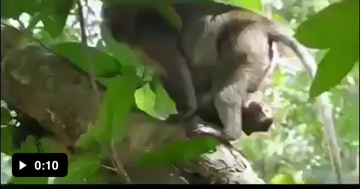 Music for dramatic effect - 9GAG