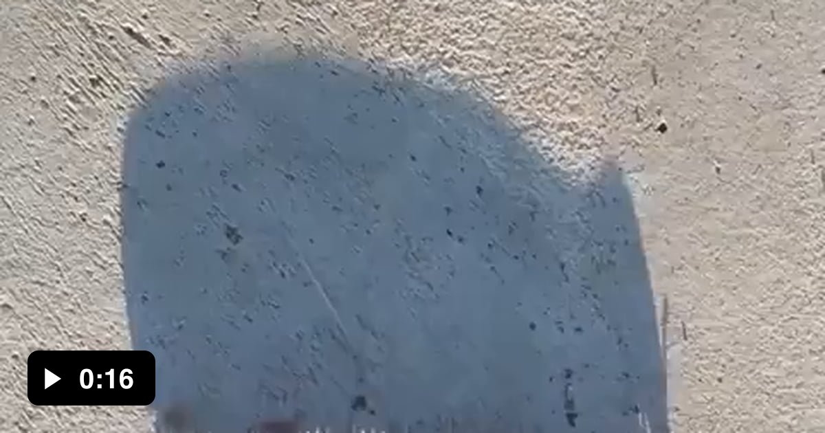 A millipede walking with his shadow! - 9GAG