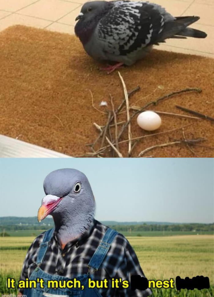 Builder level unknown - 9GAG